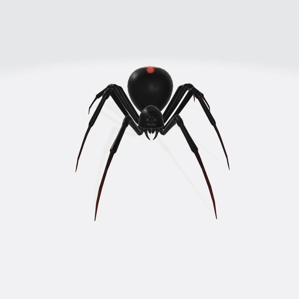 Black Widow Spider - 3D Print Model by 3dprintmodelSG