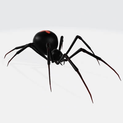 Print Ready 3D Models | Animals | Spiders | RenderHub
