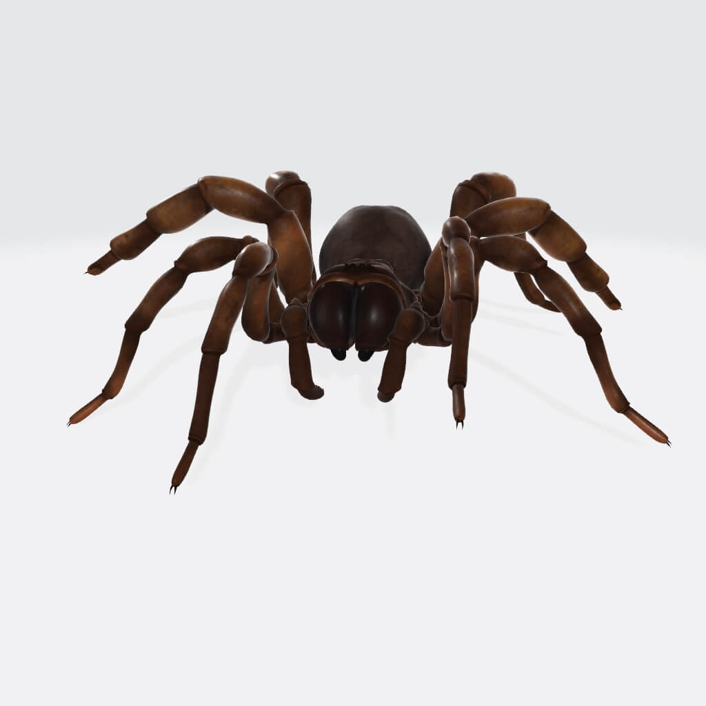 Creepy Spider - 3D Model by 3dprintmodelSG