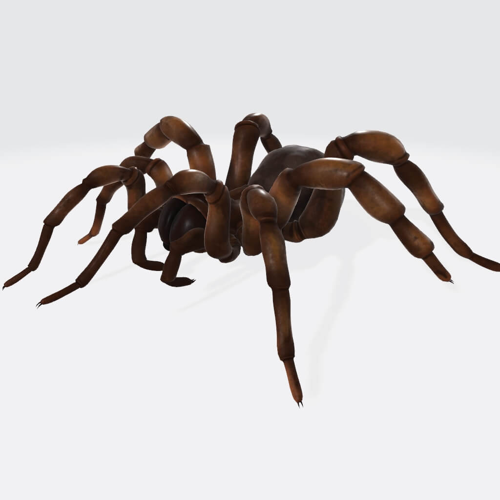 Creepy Spider 3D Model Ready To Print by 3dprintmodelSG