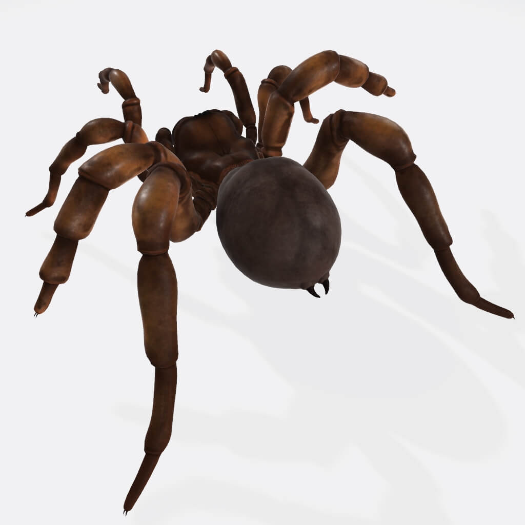 Creepy Spider 3D Model Ready To Print by 3dprintmodelSG