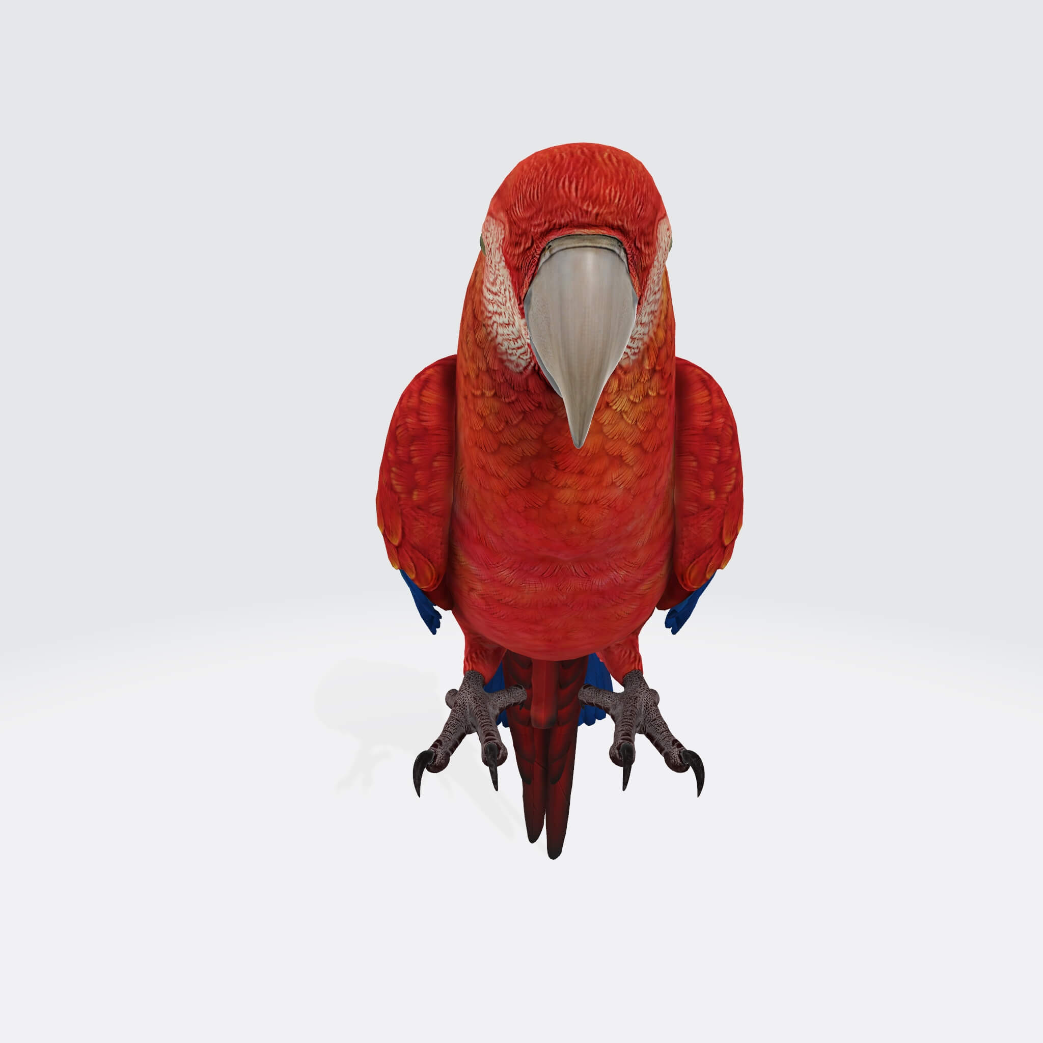 Parrot 3D Model Ready To Print by 3dprintmodelSG