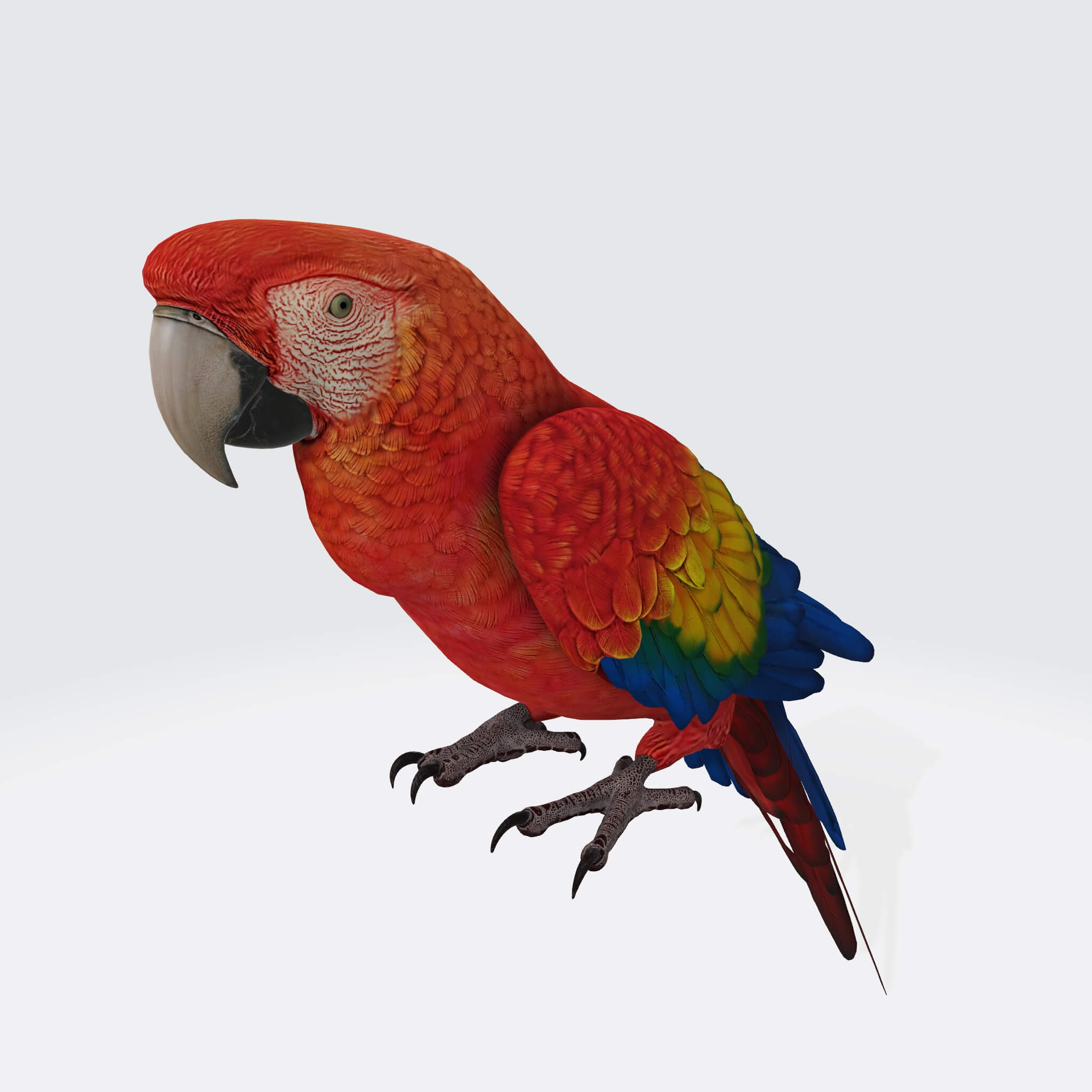 Parrot Animal Statues - 3D Model by 3dprintmodelSG