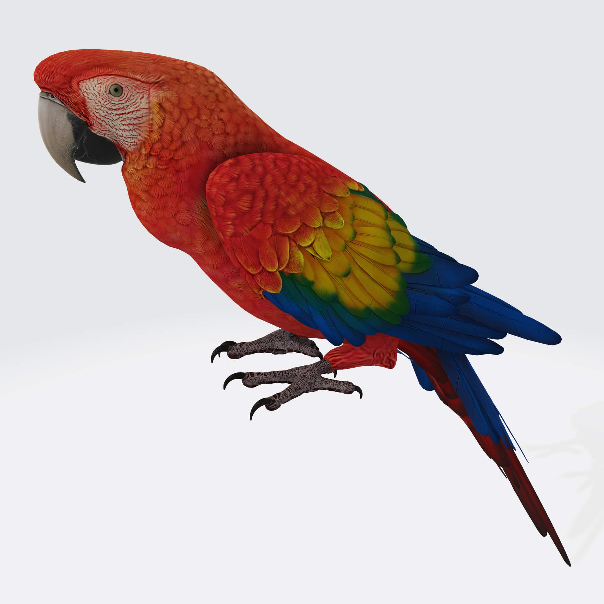 Parrot 3D Model Ready To Print by 3dprintmodelSG