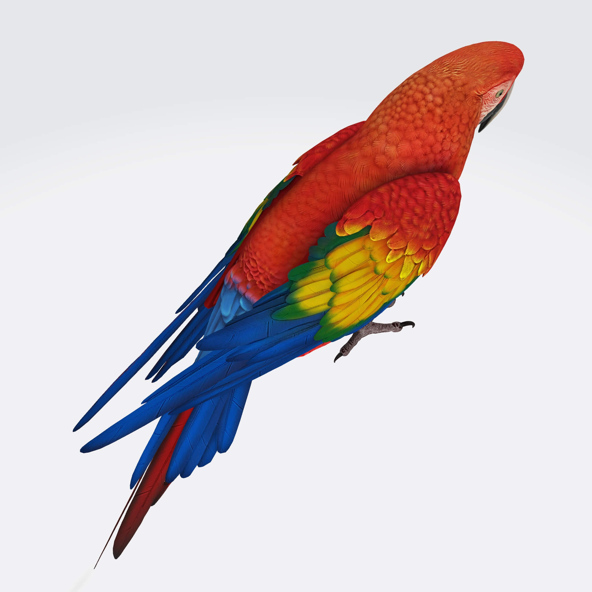 Parrot Animal Statues - 3D Model by 3dprintmodelSG