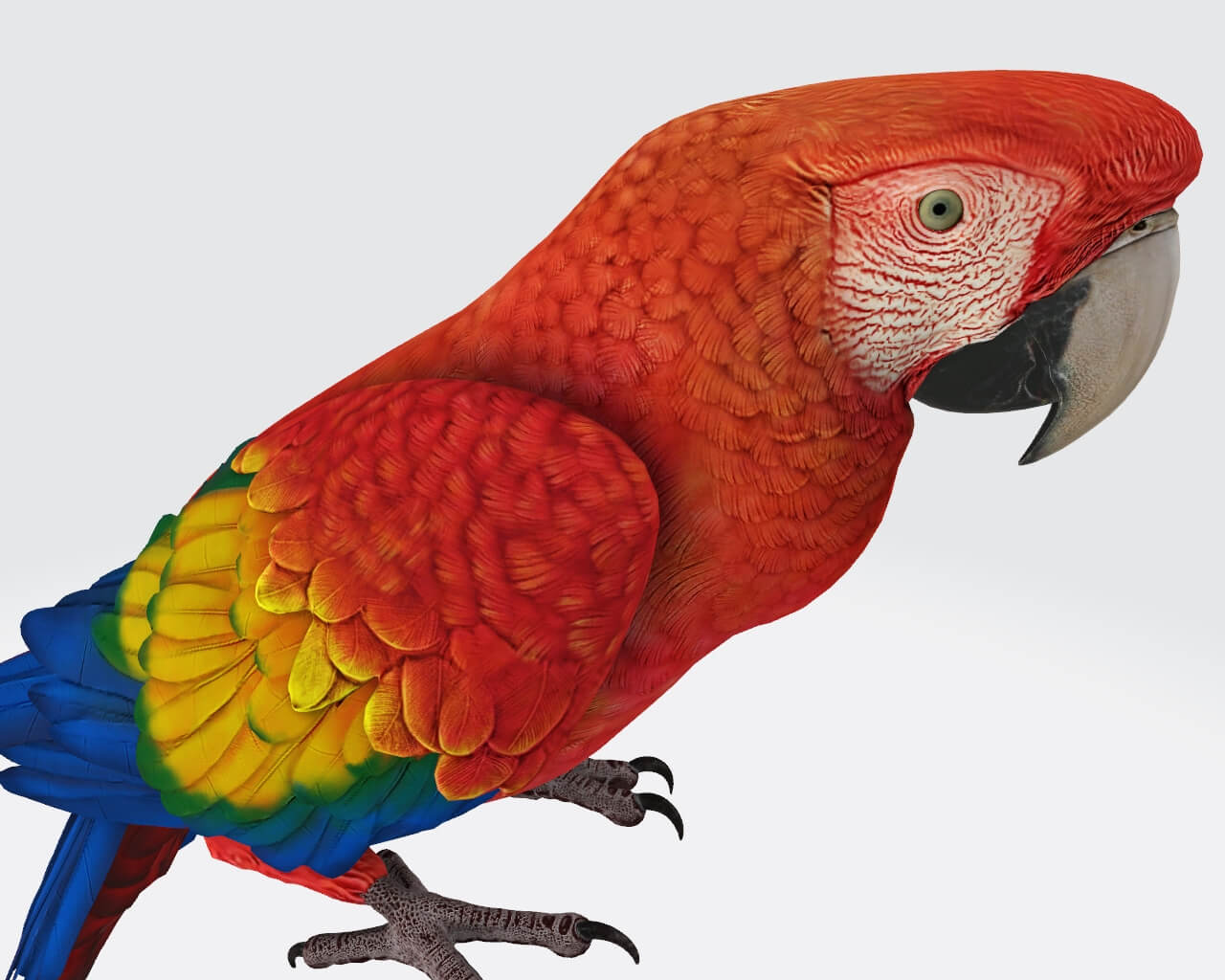 Parrot Animal Statues - 3D Model by 3dprintmodelSG