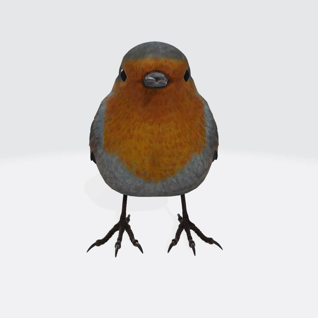 Robin Bird Animals - 3D Model by 3dprintmodelSG