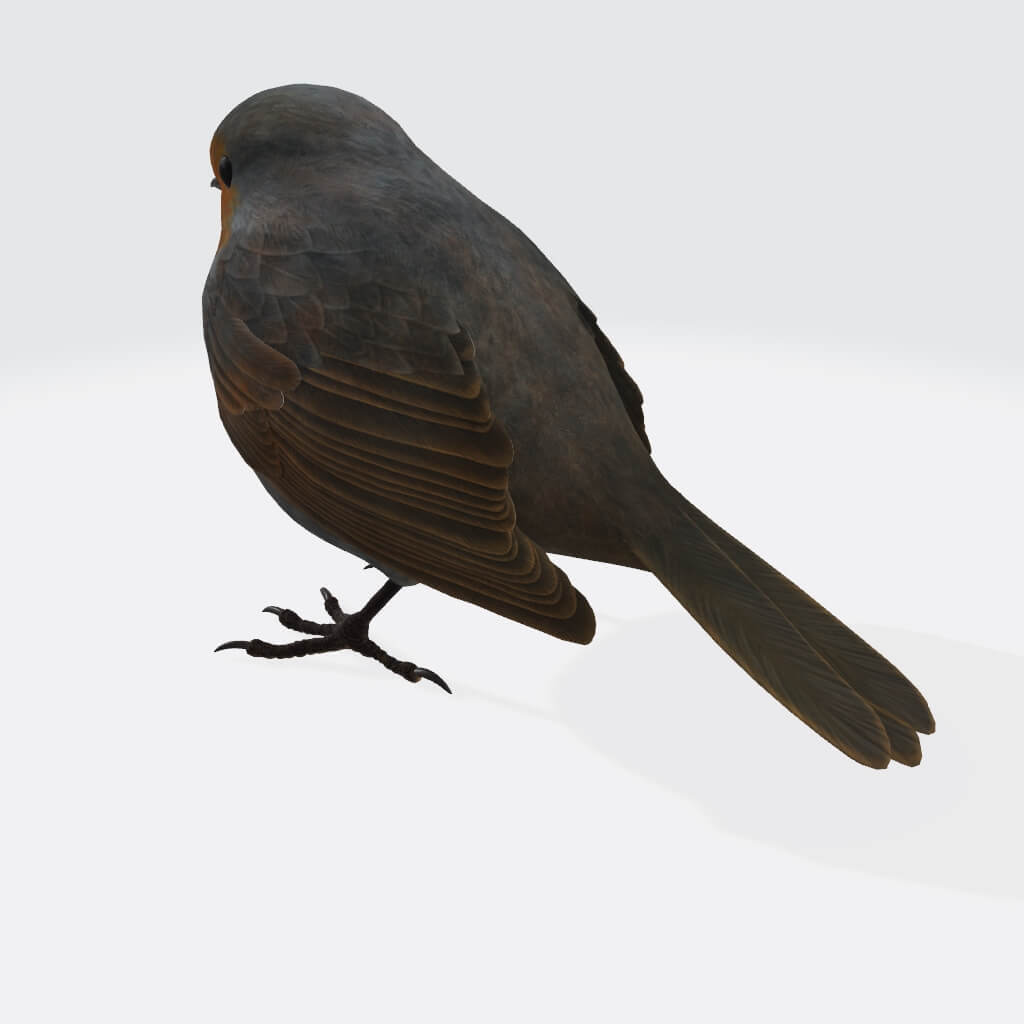 Robin Bird 3D Model Ready To Print by 3dprintmodelSG