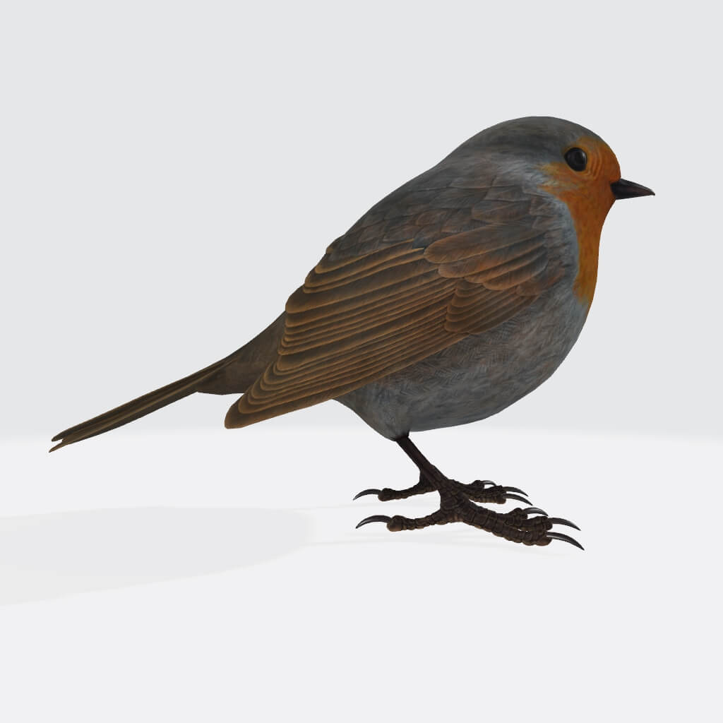 Robin Bird 3D Model Ready To Print by 3dprintmodelSG