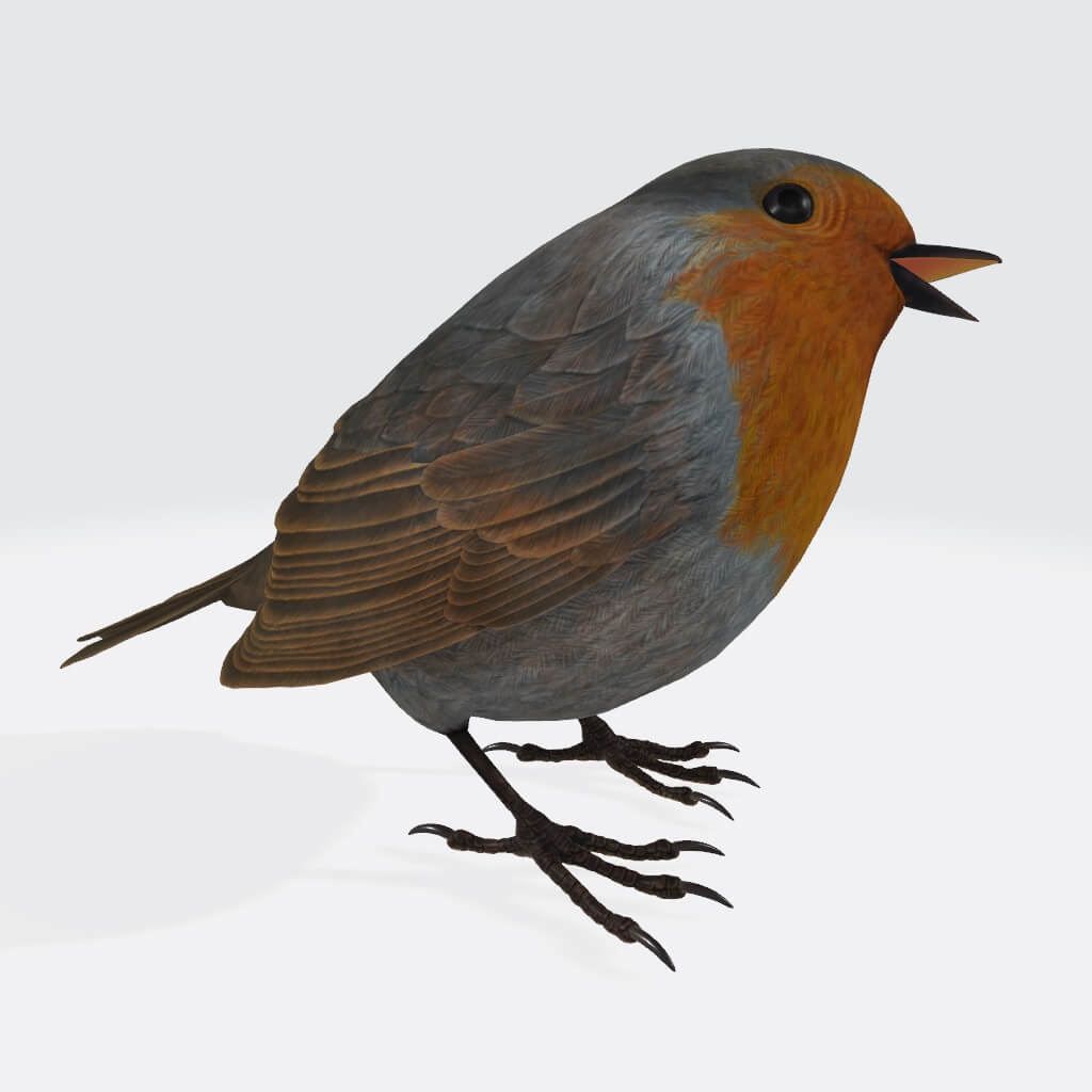 Singing Robin - 3D Model by 3dprintmodelSG