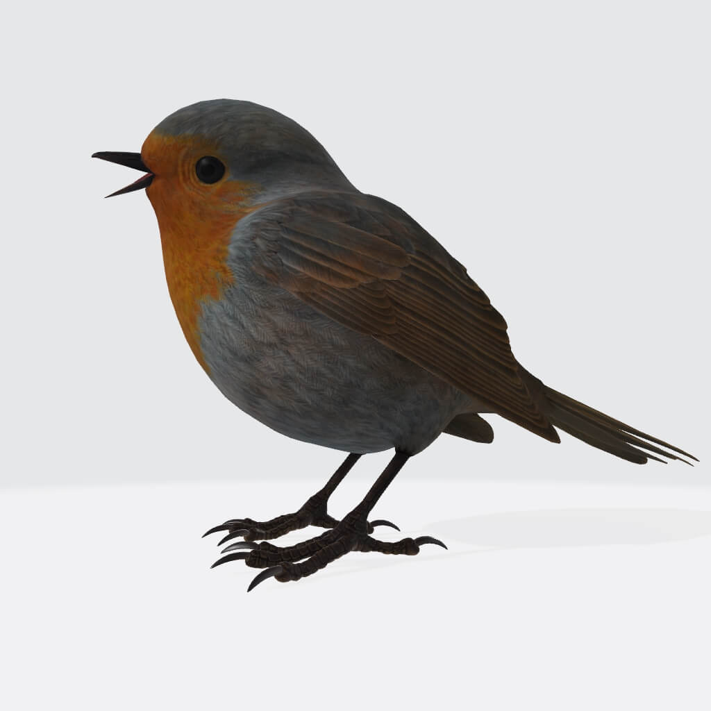 Singing Robin - 3D Model by 3dprintmodelSG