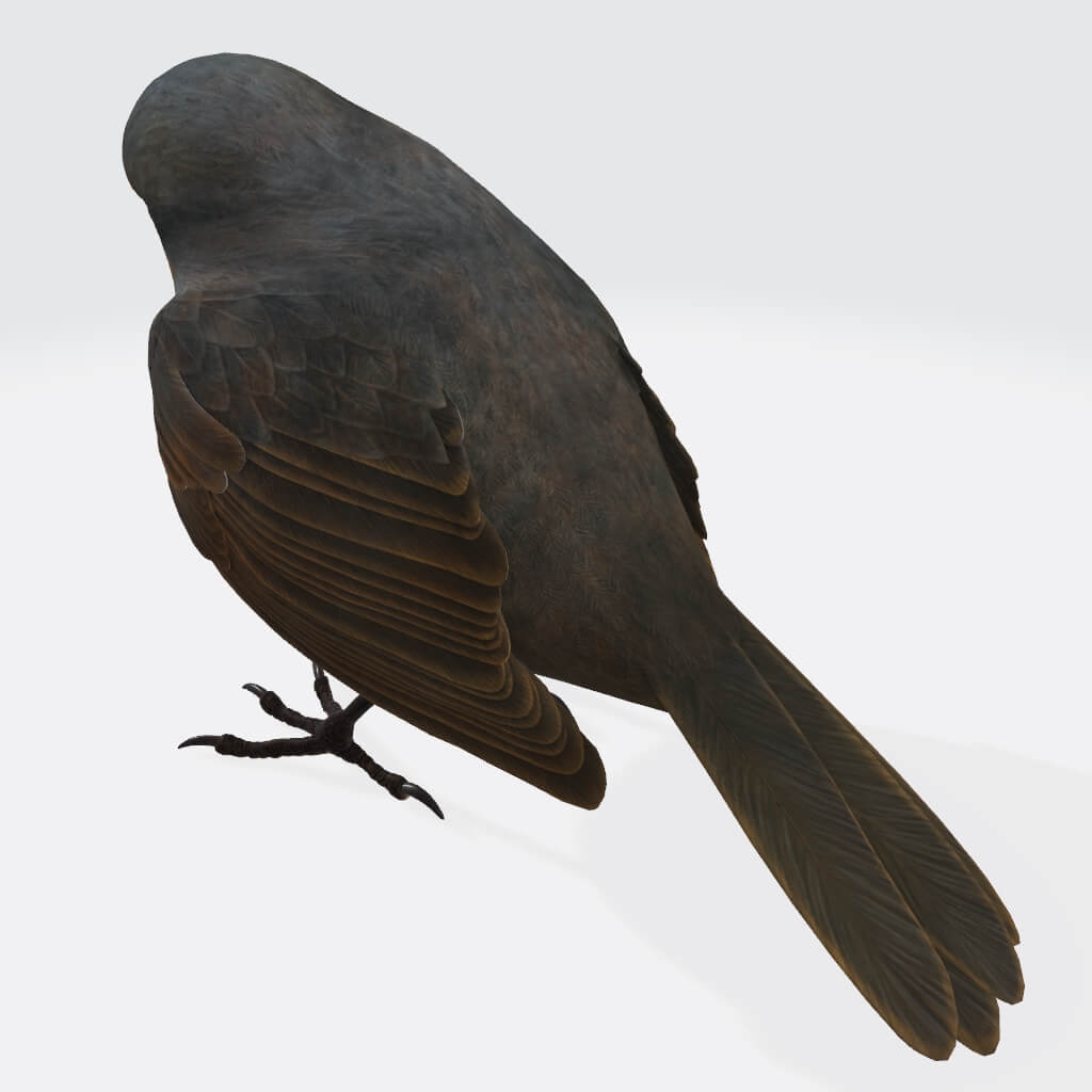 Singing Robin - 3D Model by 3dprintmodelSG