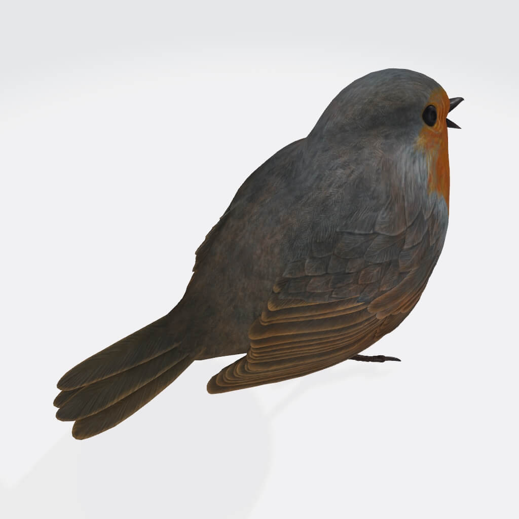 Singing Robin - 3D Model by 3dprintmodelSG