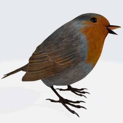 Singing Robin - 3D Model by 3dprintmodelSG