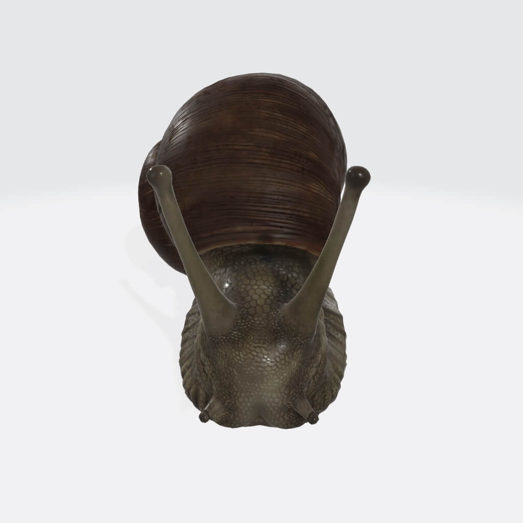 Snail Sculpture 3D Model Ready To Print by 3dprintmodelSG