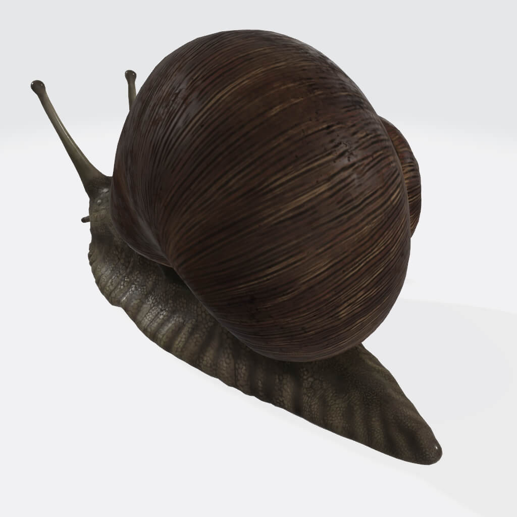 Snail Sculpture 3D Model Ready To Print by 3dprintmodelSG