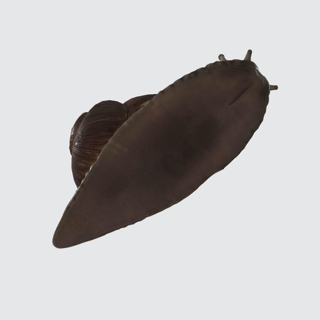 Snail Sculpture 3D Model Ready To Print by 3dprintmodelSG