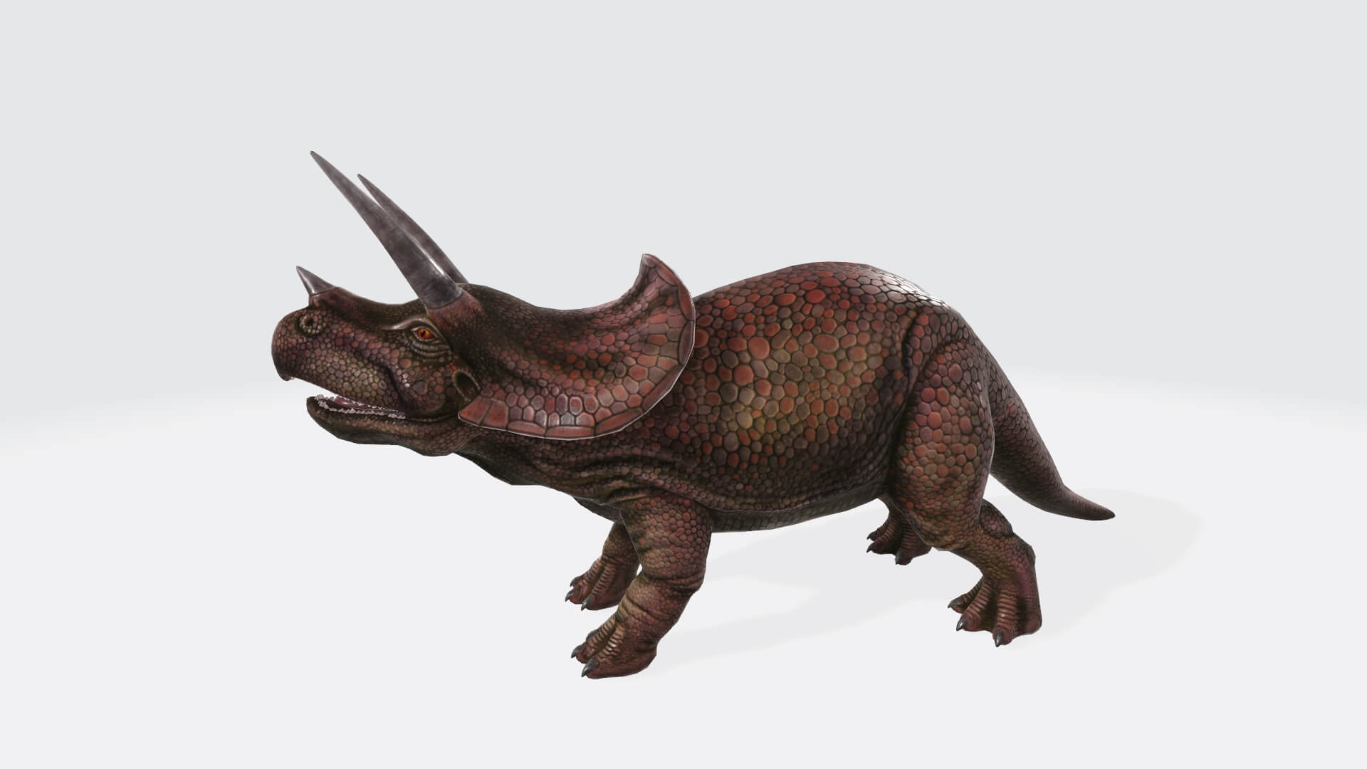 Triceratops Dinosaur - 3D Model by 3dprintmodelSG
