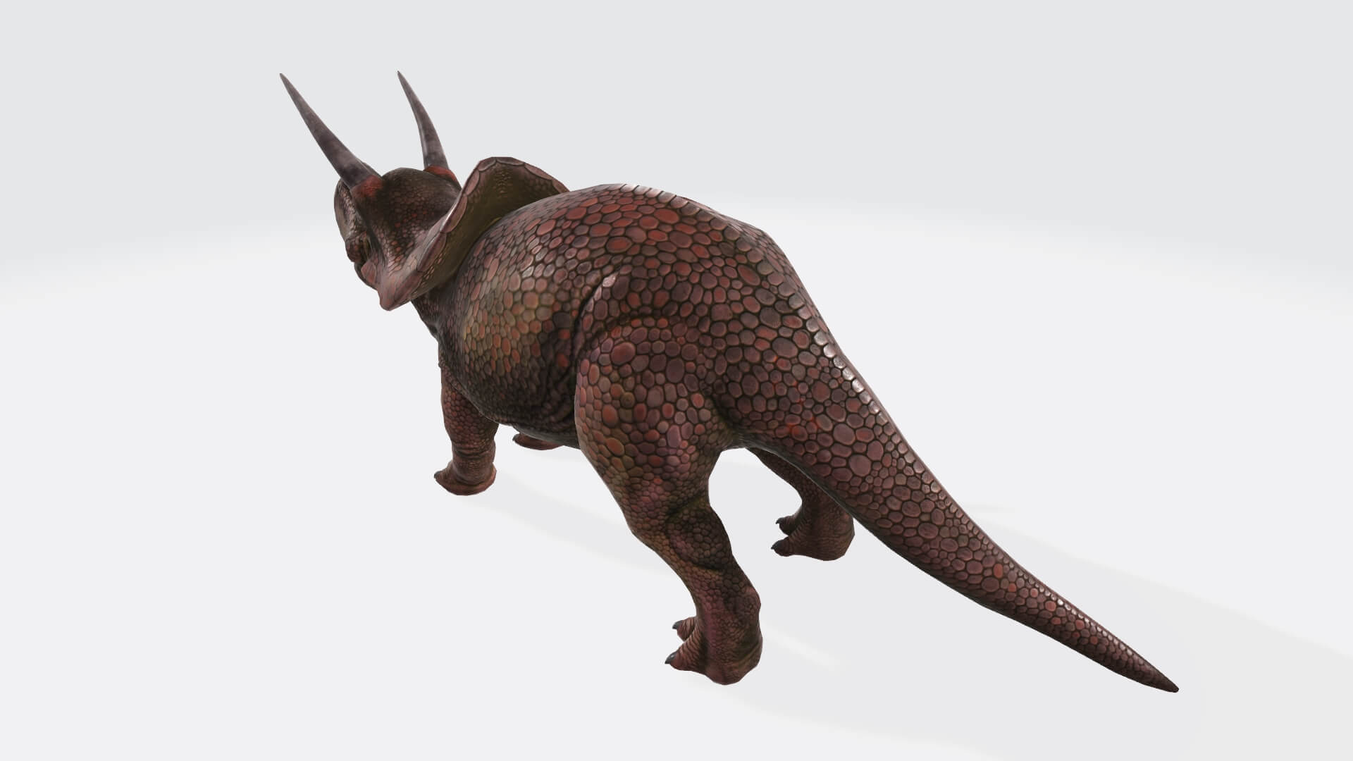 Triceratops Dinosaur - 3D Model by 3dprintmodelSG