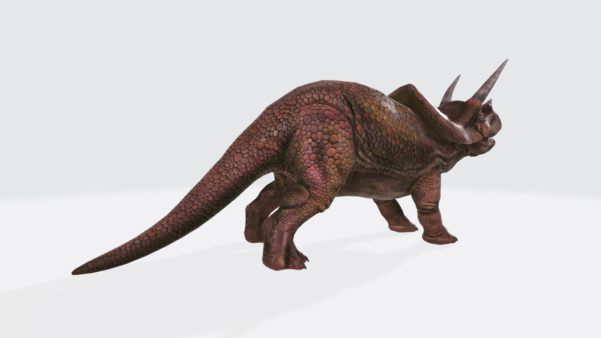 Triceratops Dinosaur - 3D Model by 3dprintmodelSG