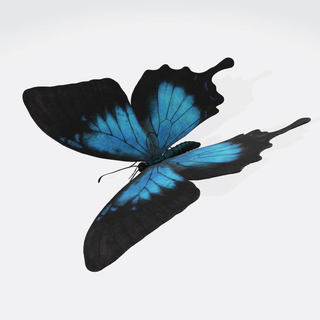 Ulysses Butterfly 3D Model Ready To Print by 3dprintmodelSG