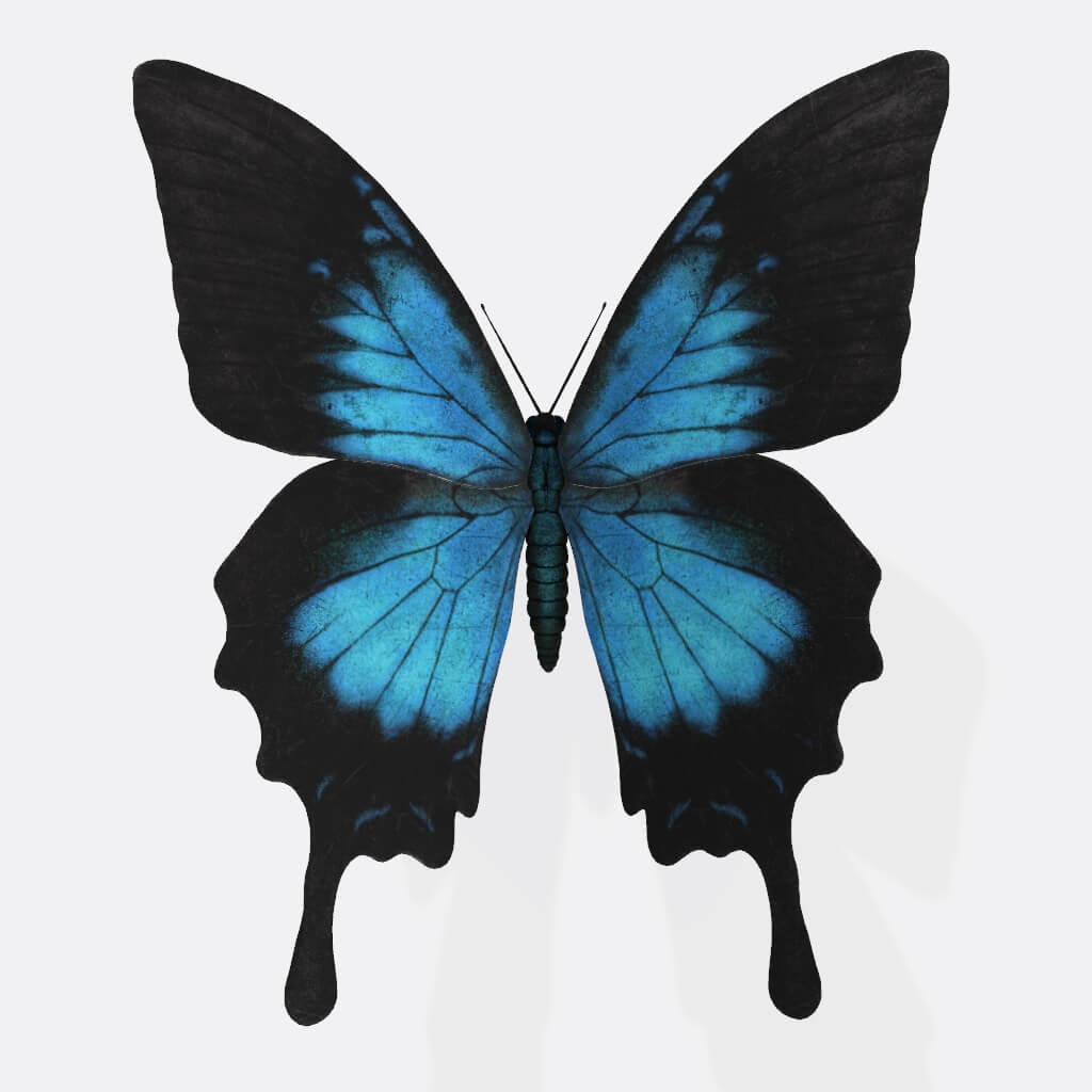 Ulysses Butterfly 3D Model Ready To Print by 3dprintmodelSG