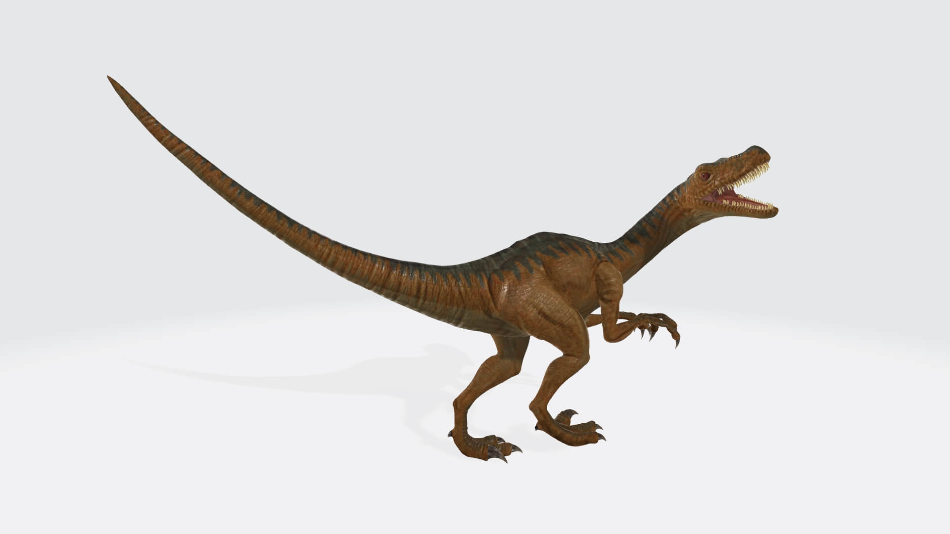 Velociraptor Dinosaur Sculpture - 3D Model by 3dprintmodelSG