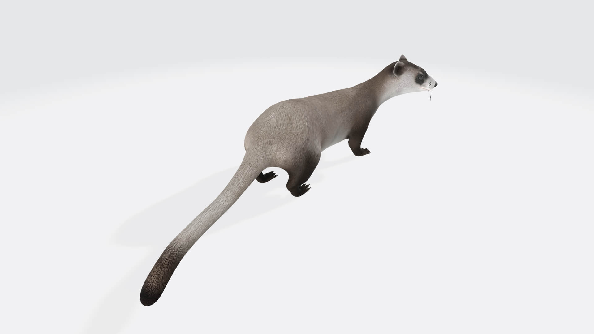 Weasel Animal Figure - 3D Model by 3dprintmodelSG