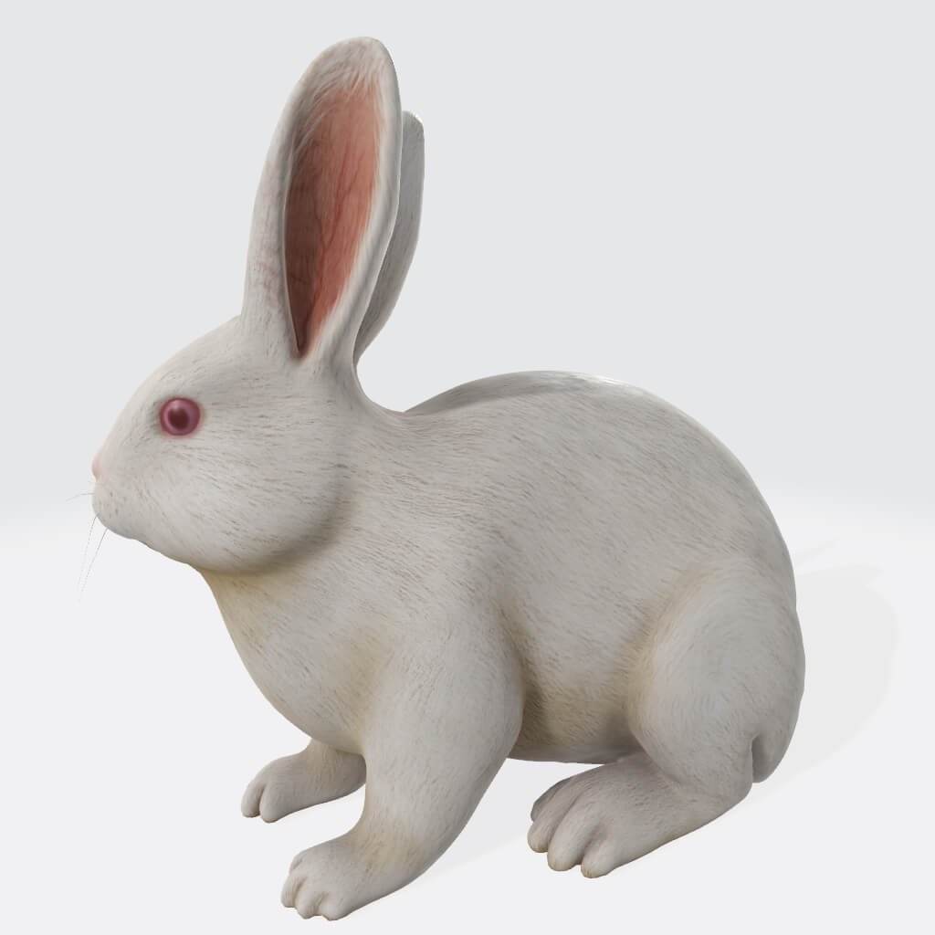 White Rabbit 3D Model Ready To Print by 3dprintmodelSG