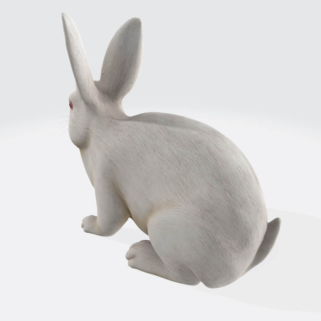 White Rabbit - 3D Model by 3dprintmodelSG