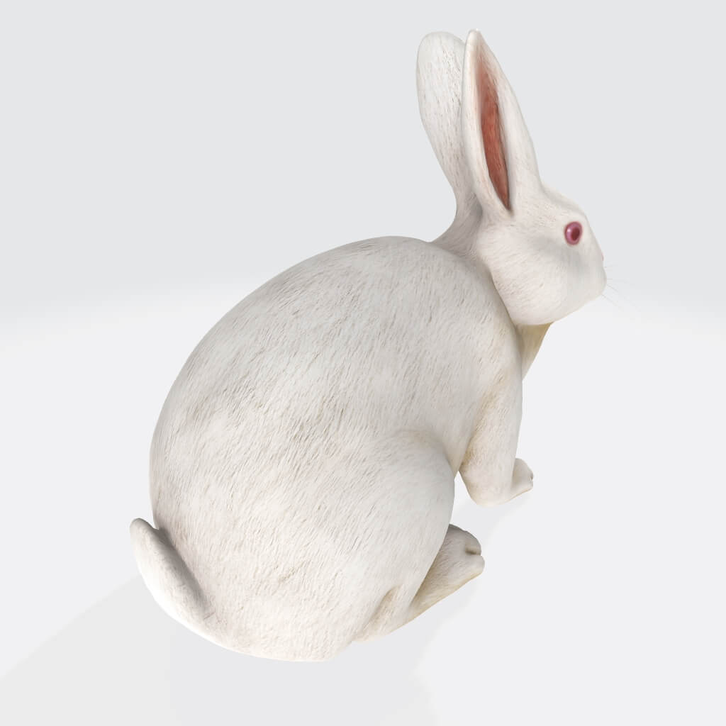 White Rabbit 3D Model Ready To Print by 3dprintmodelSG