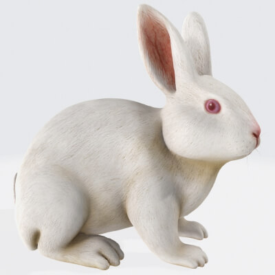 White Rabbit - 3D Model by 3dprintmodelSG