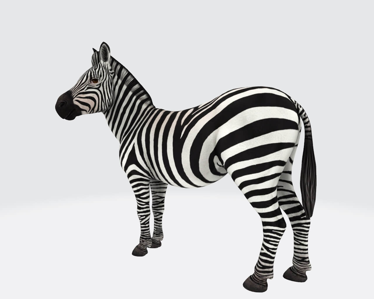 Zebra 3D Model Ready To Print by 3dprintmodelSG