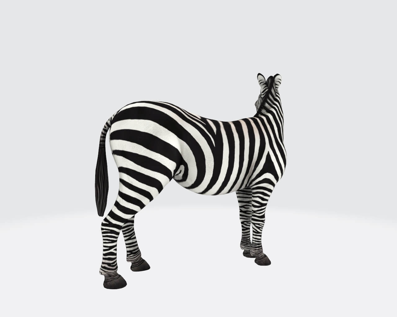 Zebra Animals Character - 3D Model by 3dprintmodelSG