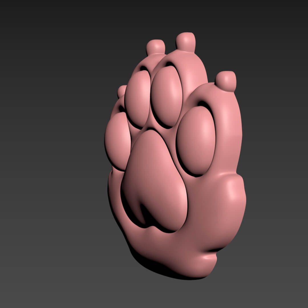 Cat Paw 3D Print by 3DRelief