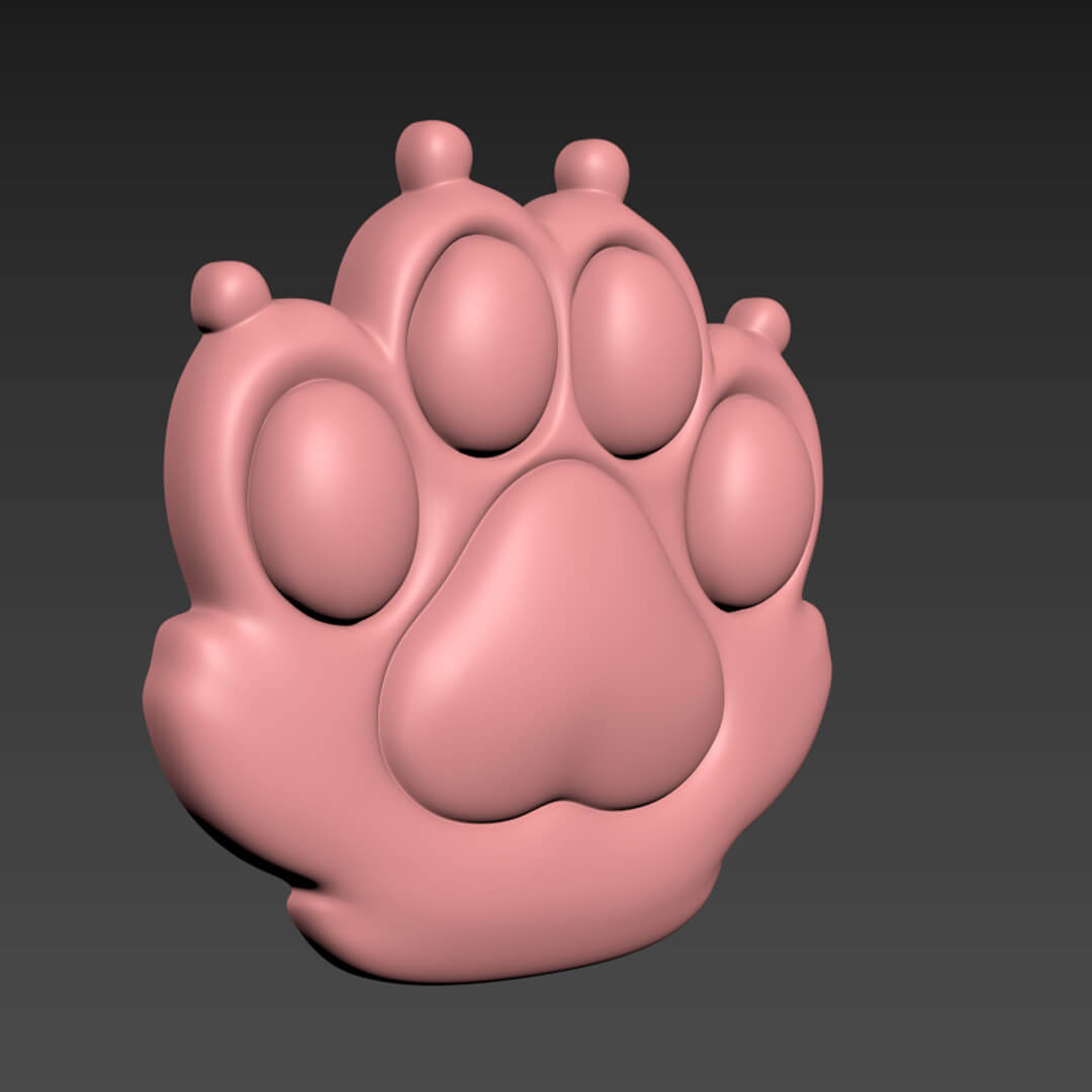 Cat Paw 3D Print by 3DRelief
