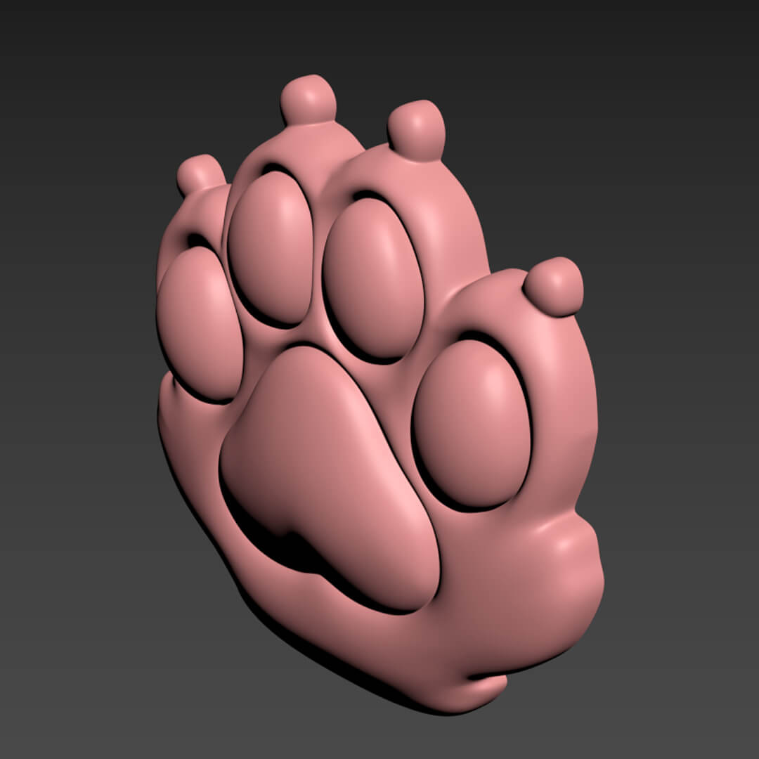 Cat Paw 3D Print by 3DRelief