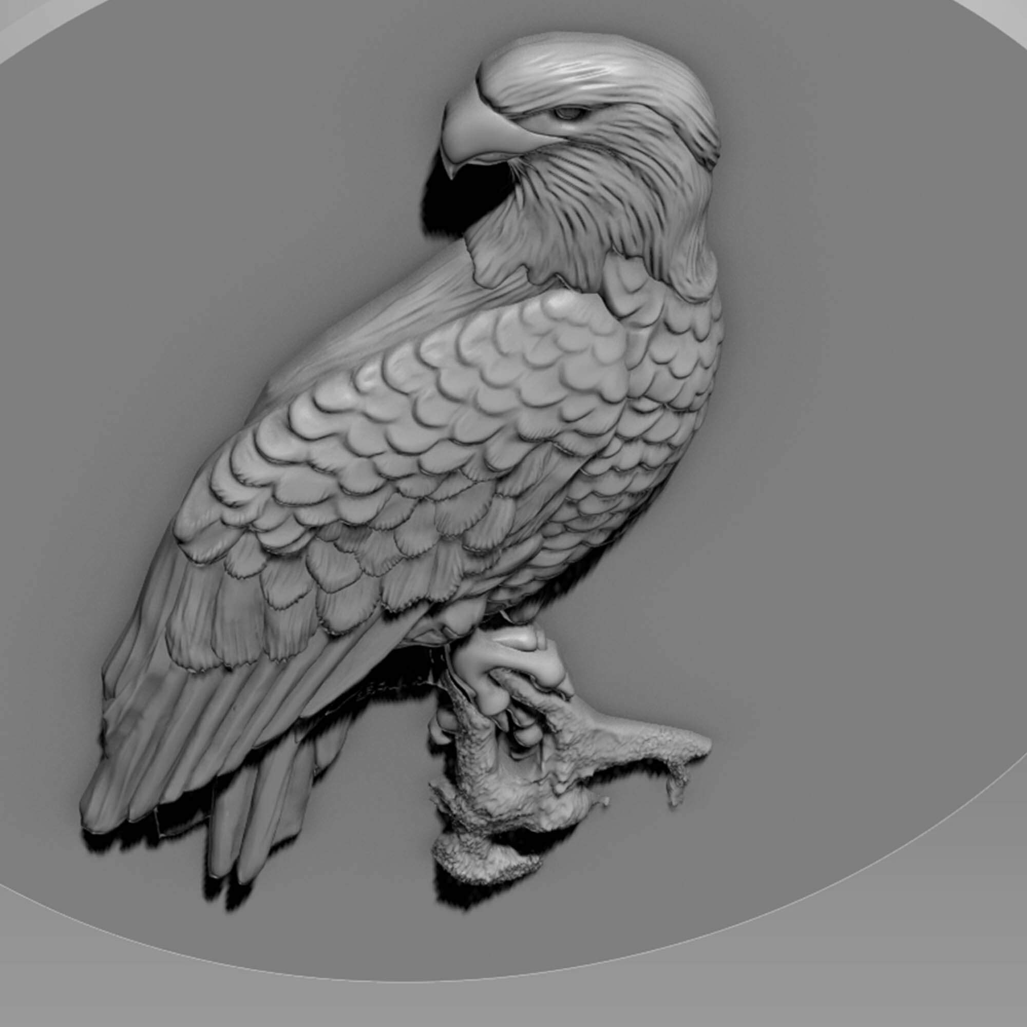 Eagle Bas-Relief 3D Model by 3DRelief