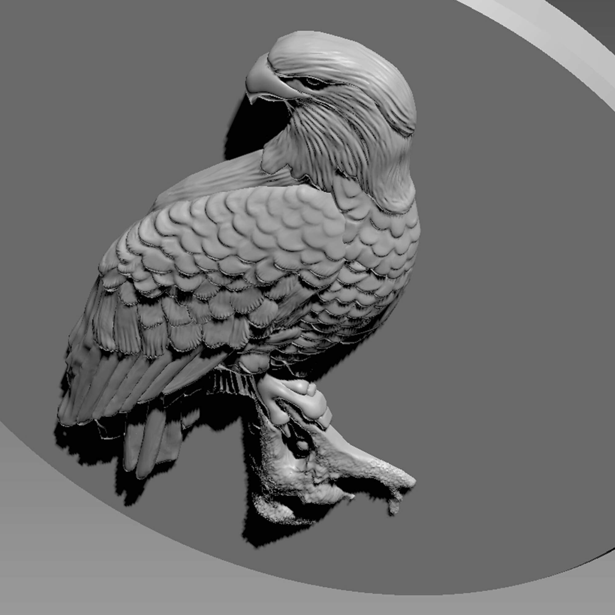 Eagle Bas-Relief 3D Model by 3DRelief