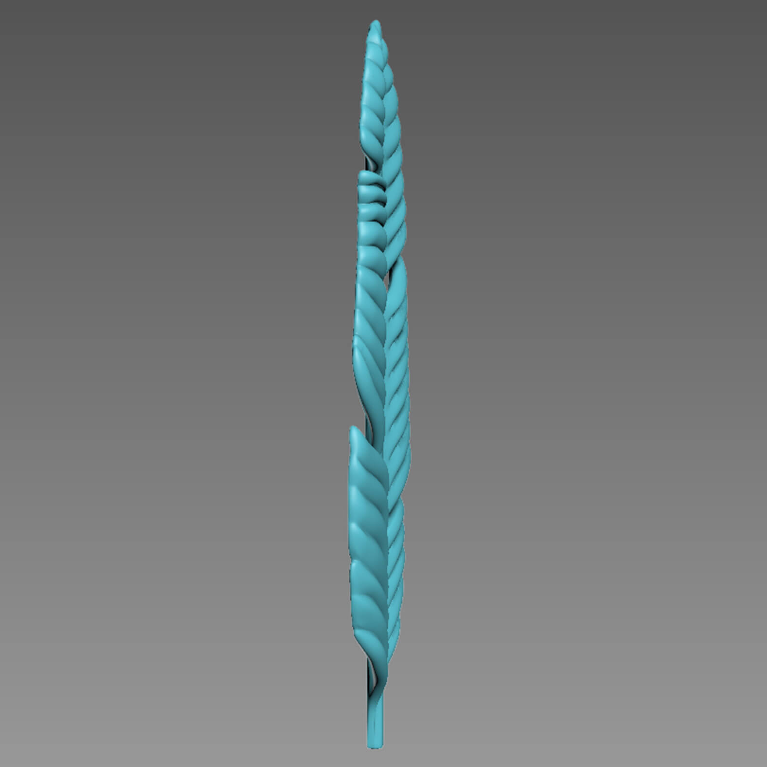 Feather 3D Print by 3DRelief