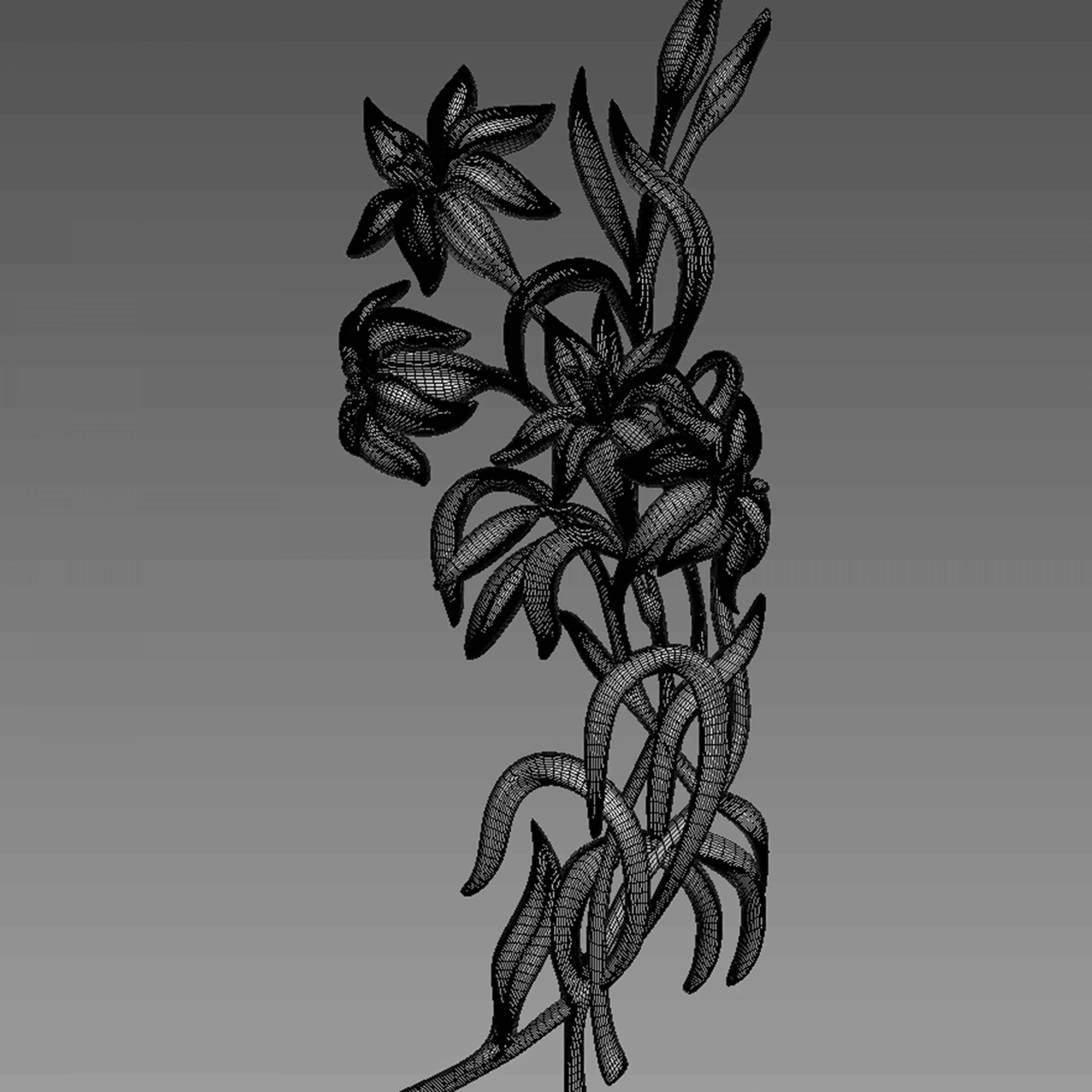 Lily Flowers Bas-Relief 3D Model by 3DRelief