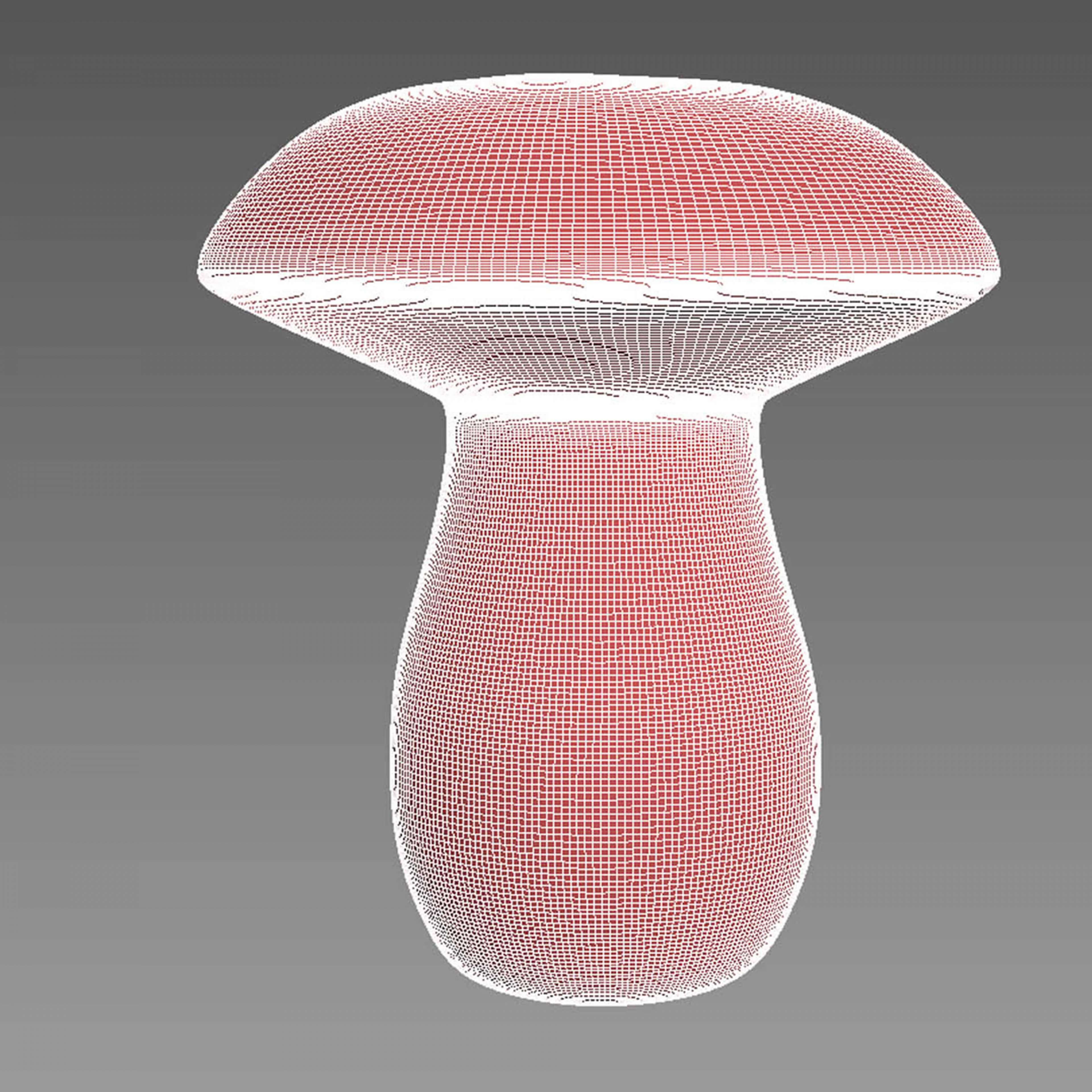 Mushroom Nature - 3D Model by 3DRelief
