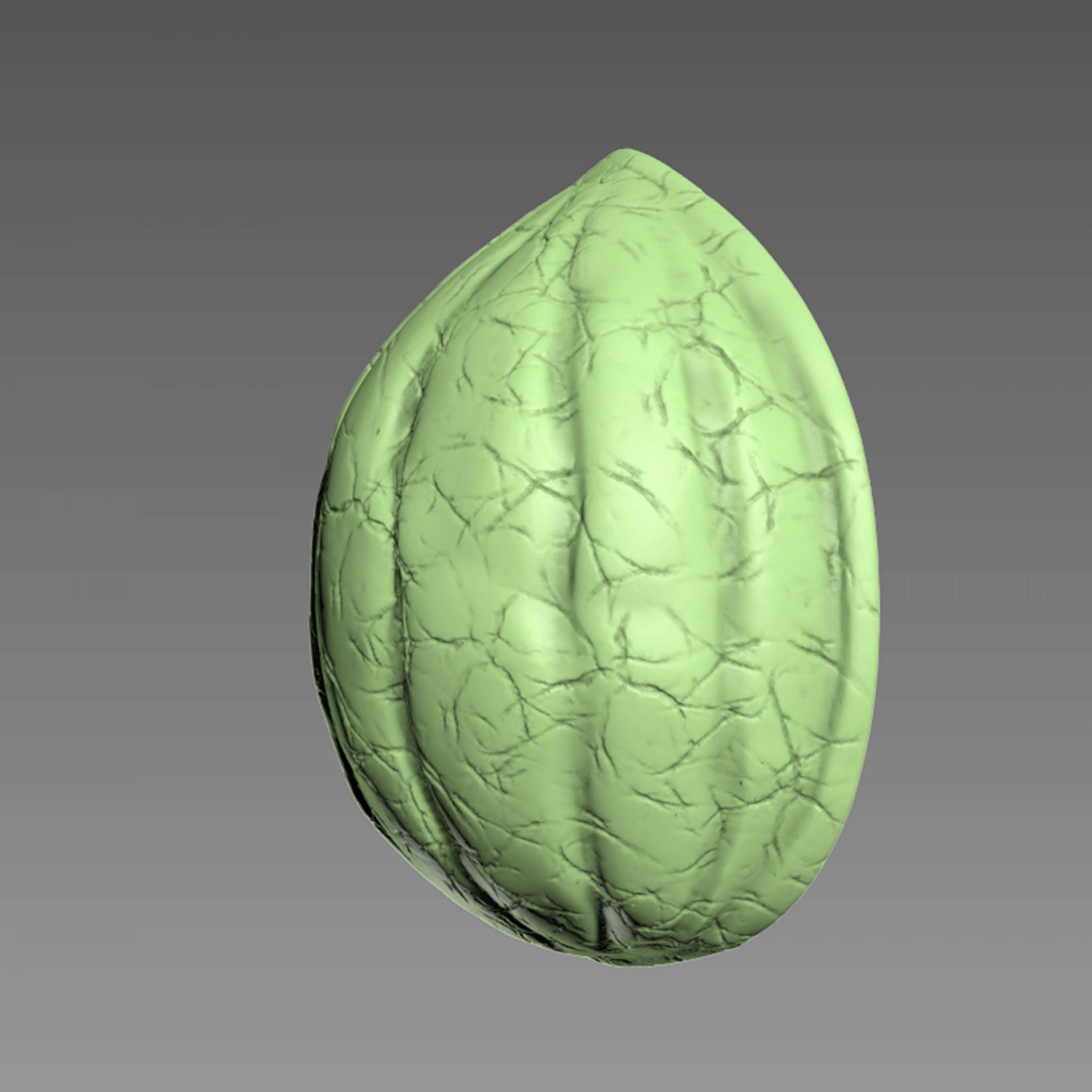 Nut Shell Relief - 3D Model by 3DRelief