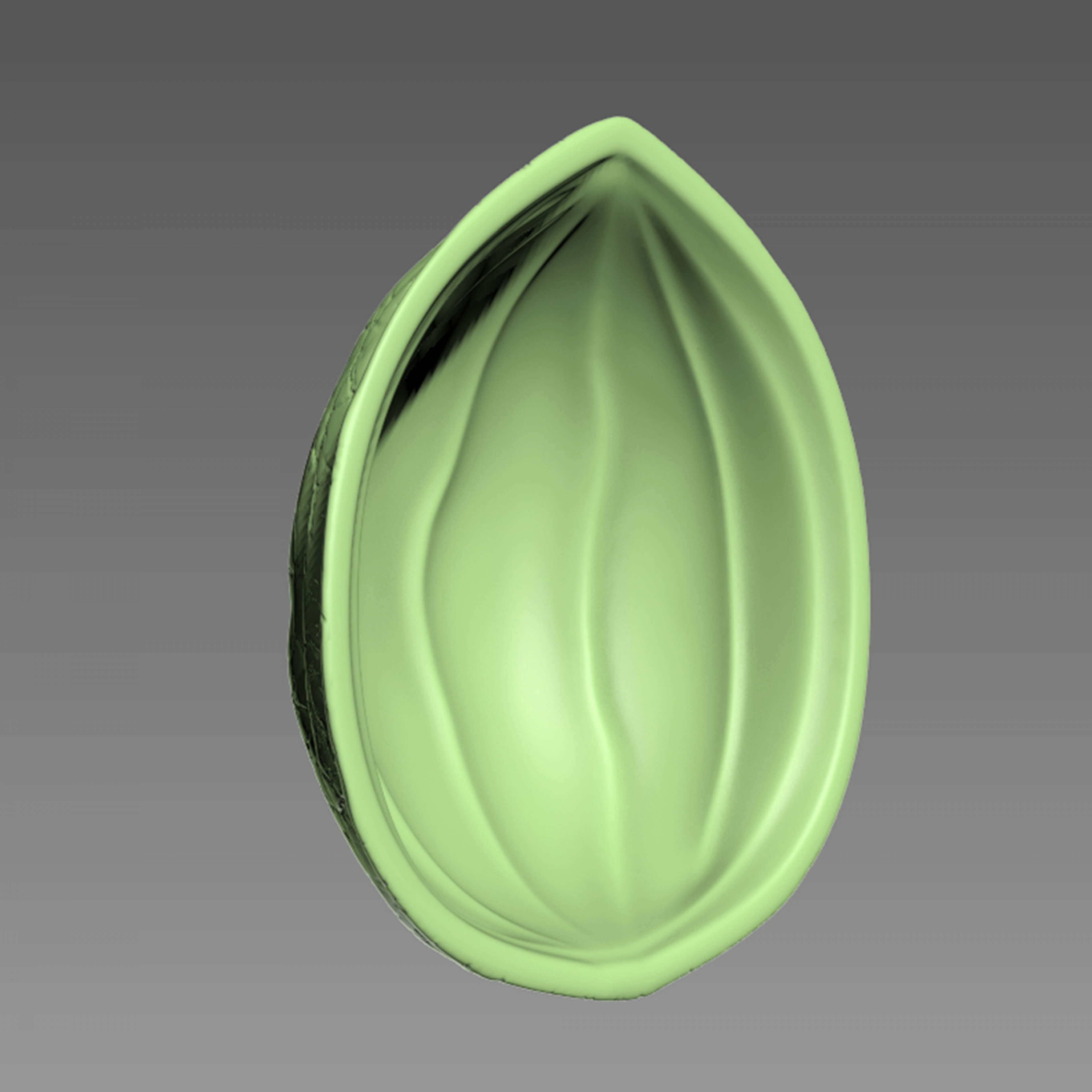 Nut Shell Relief - 3D Model by 3DRelief