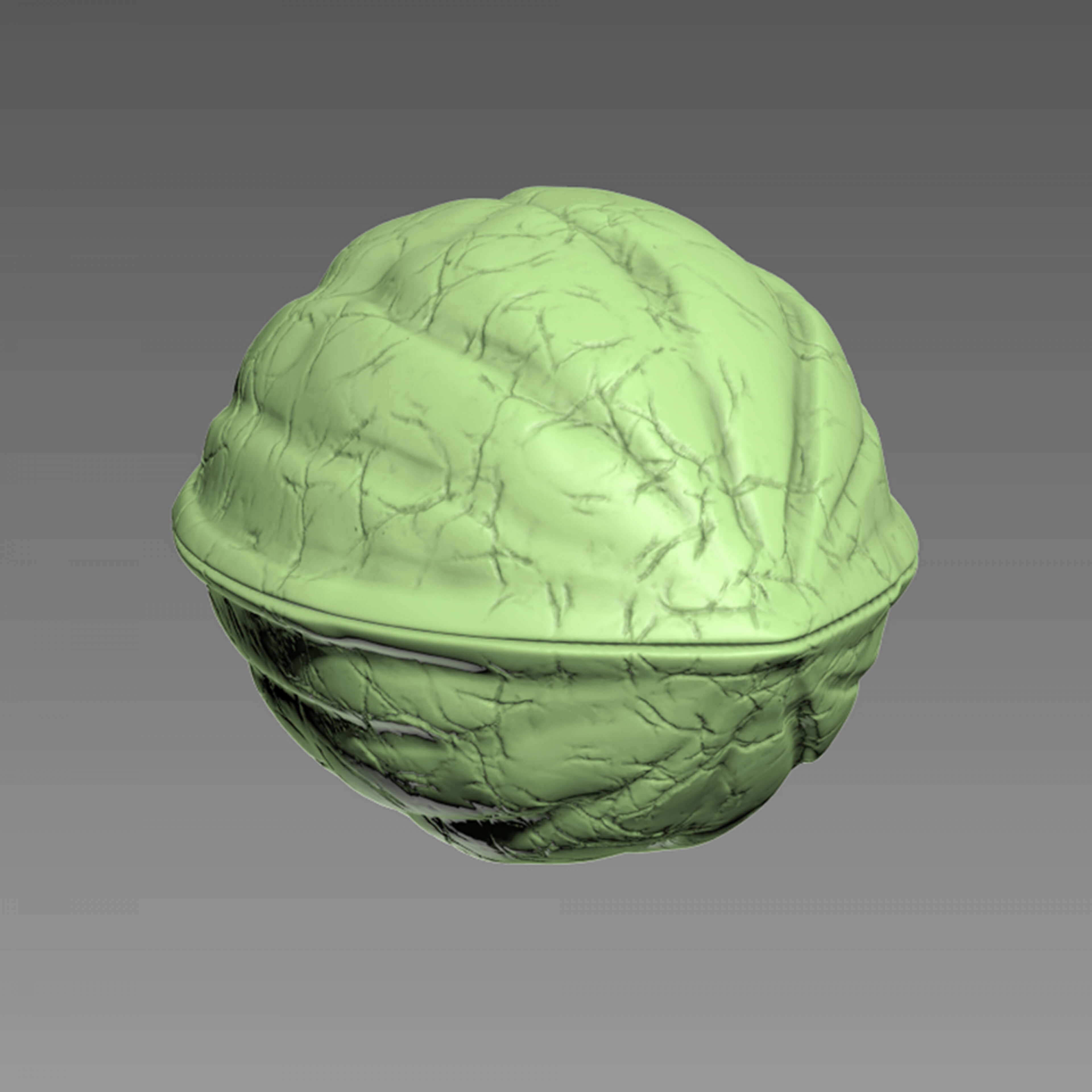 Nut Shell Relief - 3D Model by 3DRelief