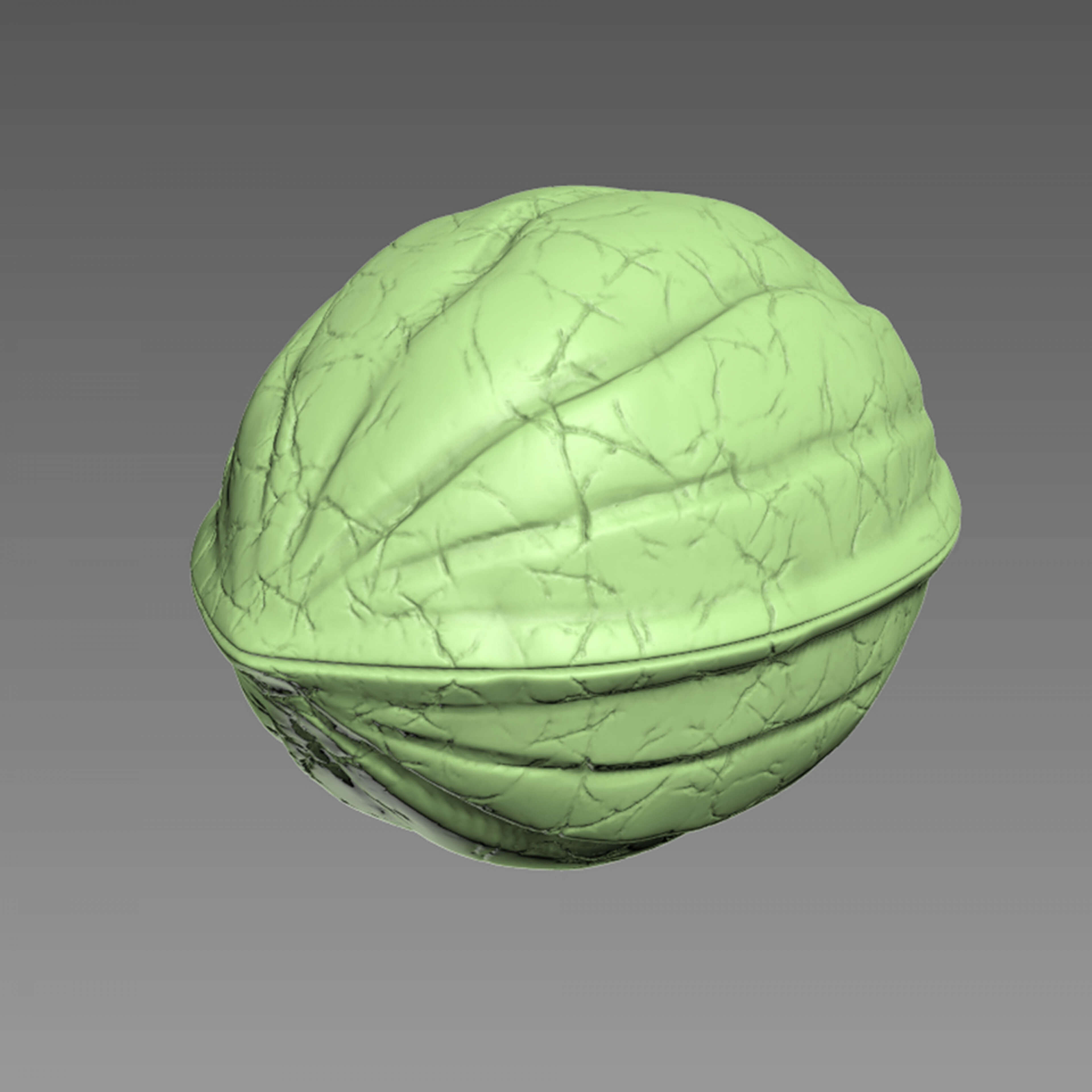 Nut Shell Relief - 3D Model by 3DRelief