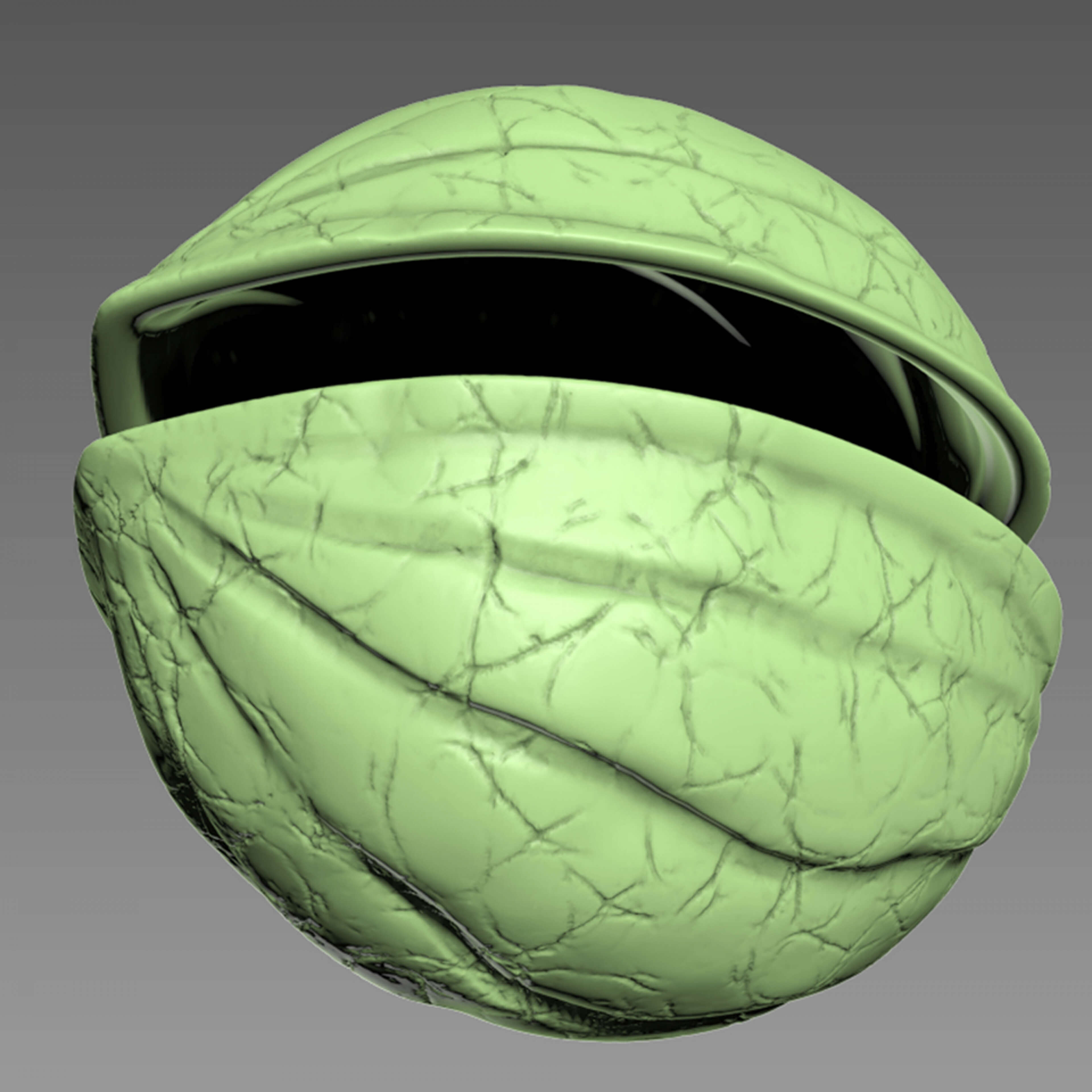 Nut Shell Relief - 3D Print Model by 3DRelief