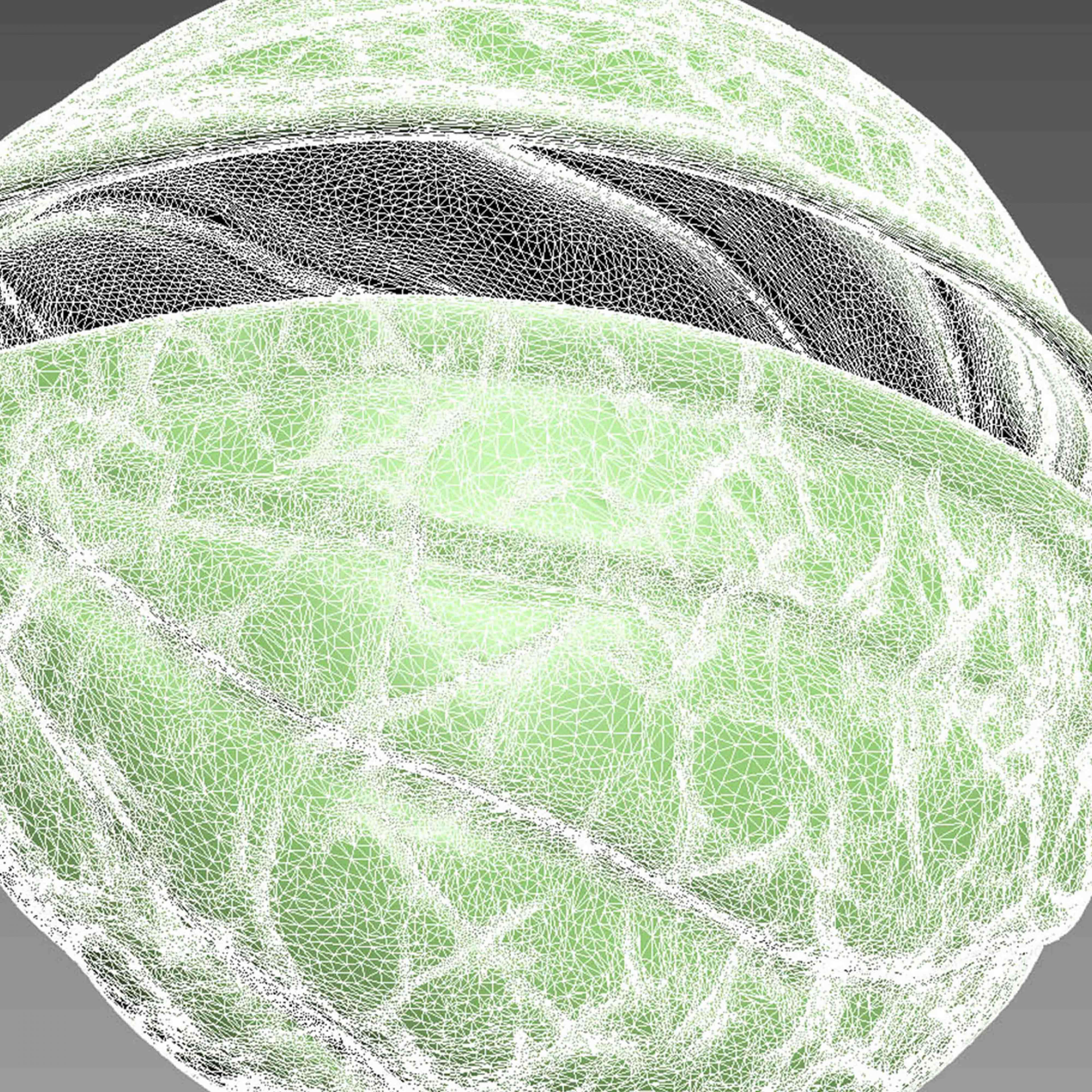 Nut Shell Relief - 3D Model by 3DRelief