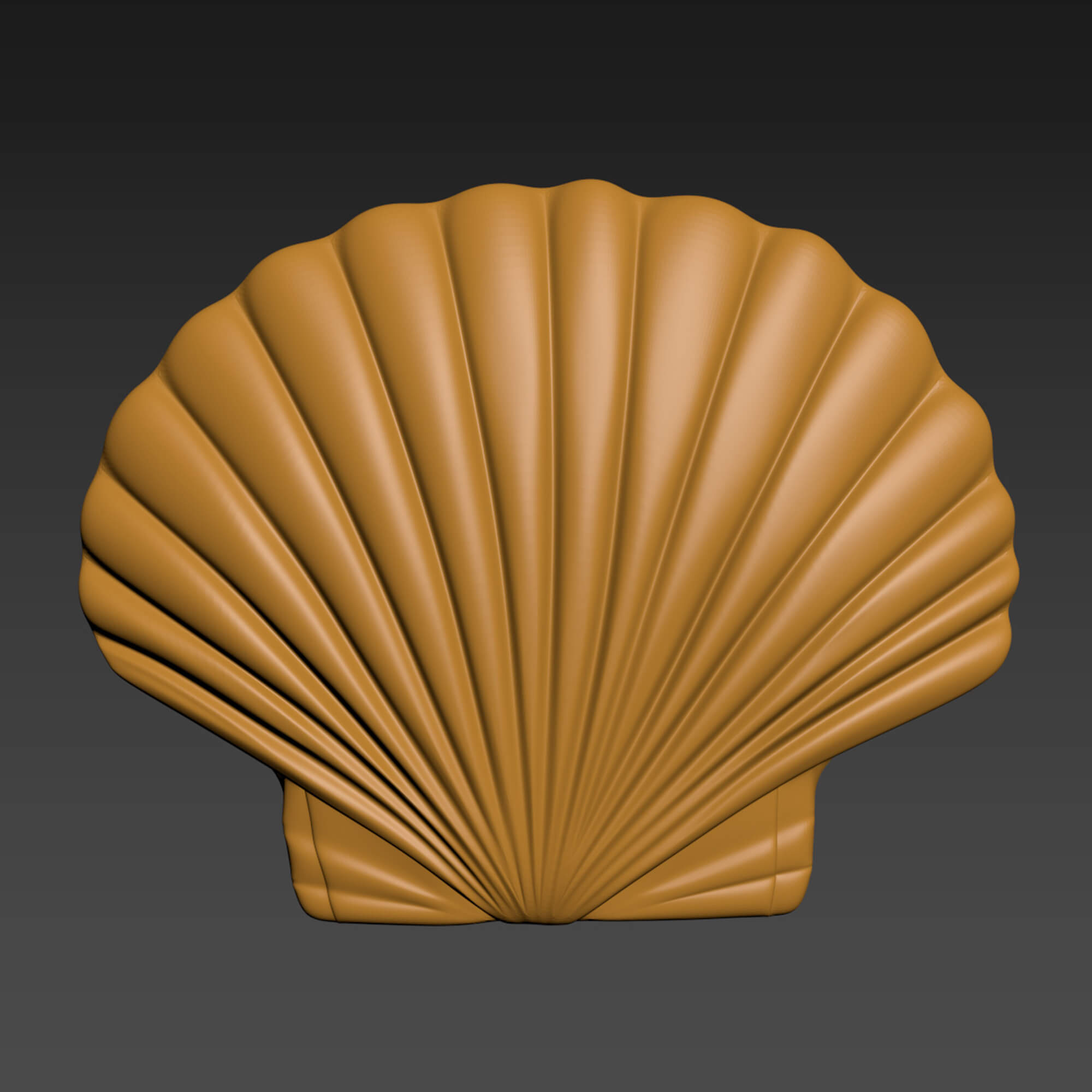 Seashell Shell Pearl Shell - 3D Model by 3DRelief