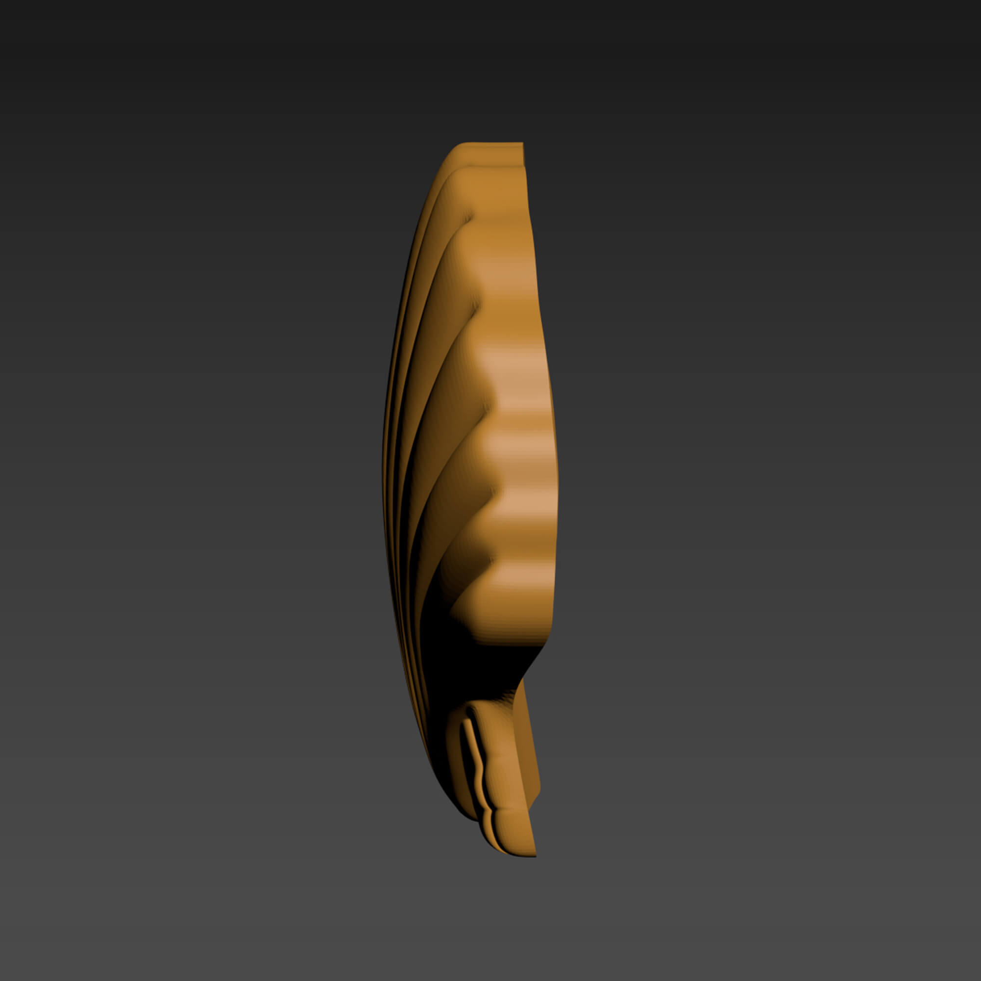 Seashell Shell Pearl Shell - 3D Model by 3DRelief